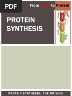 Nano Glo Hibit Lytic Detection System Technical Manual | PDF | Proteins ...