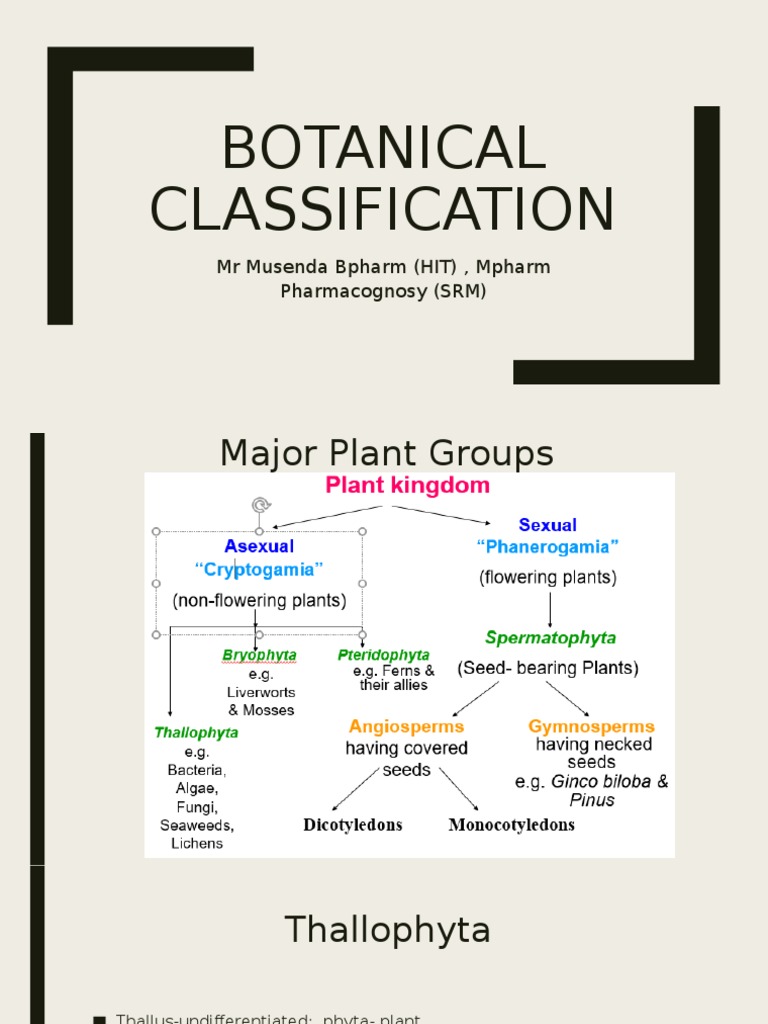 Botanical Classification | PDF | Pinophyta | Moss