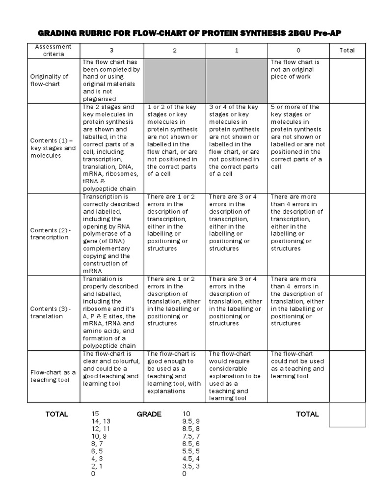 Rubric Protein Synthesis Flow Chart | Download Free PDF | Translation ...