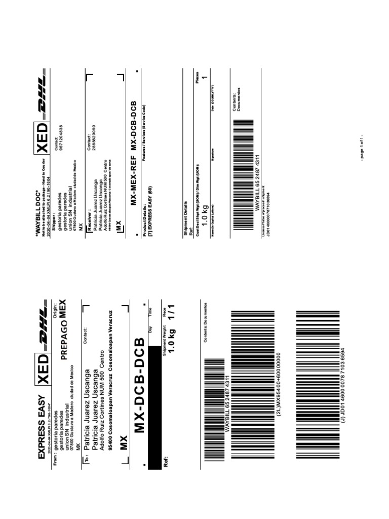 Guia DHL | PDF | Business