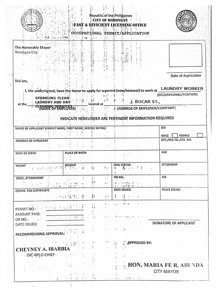 OCCUPATIONAL PERMIT Blank | PDF
