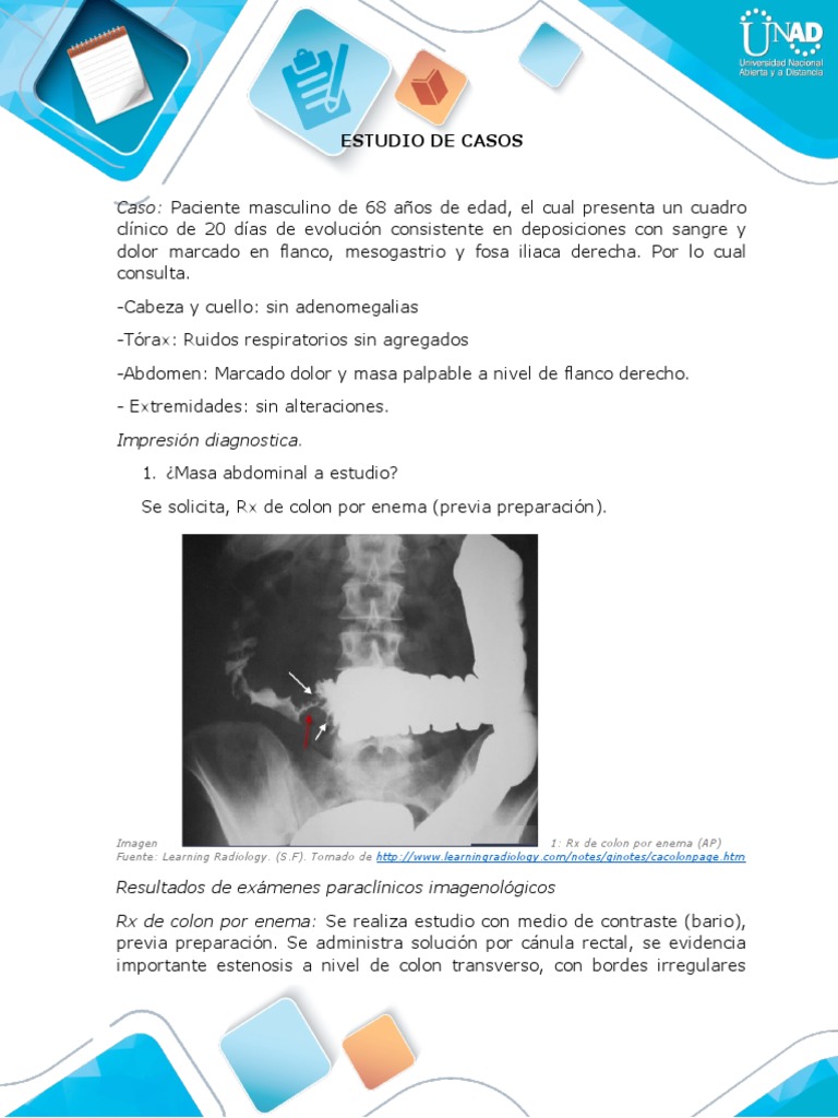 Estudio de Caso - Fase 2 | PDF