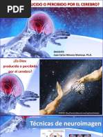 Neurociencia Y Espiritualidad Más Allá Del Cerebro Pdf Science Dios