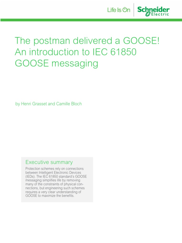 Goose Se | PDF | Improvised Explosive Device | Computer Network