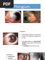 Frisen Scale for Papilledema Grading | PDF