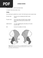 Hip X-Ray Lines and Anatomy | PDF | Hip | Pelvis