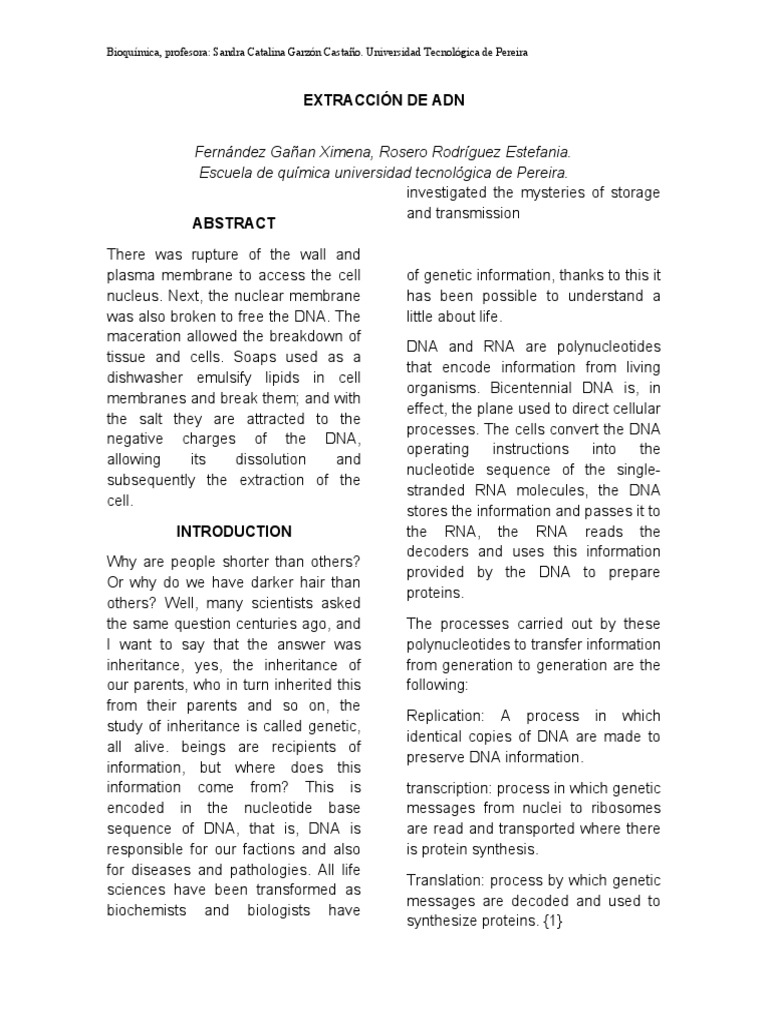 Extracción de Adn | PDF | Cell (Biology) | Dna