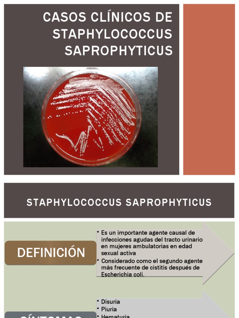 Infecciones Urinarias por Staphylococcus Saprophyticus | PDF ...