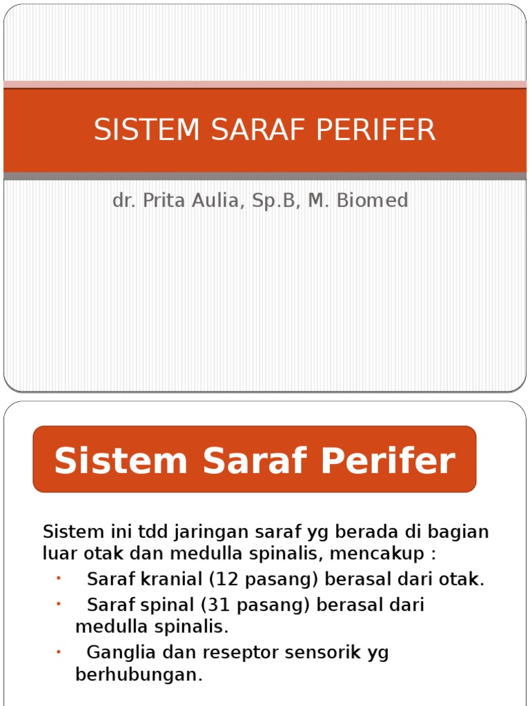 Sistem Saraf Perifer: Panduan Medis | PDF