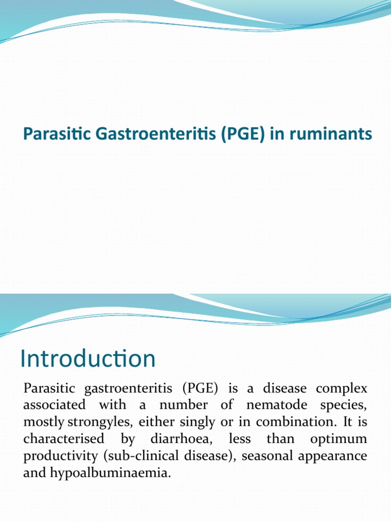 Parasitic Gastroenteritis in Ruminants | PDF | Parasitology | Immunology