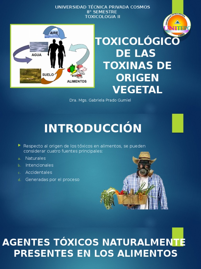 Toxicológico de Las Toxinas de Origen Vegetal | PDF | Toxicidad | Alimentos