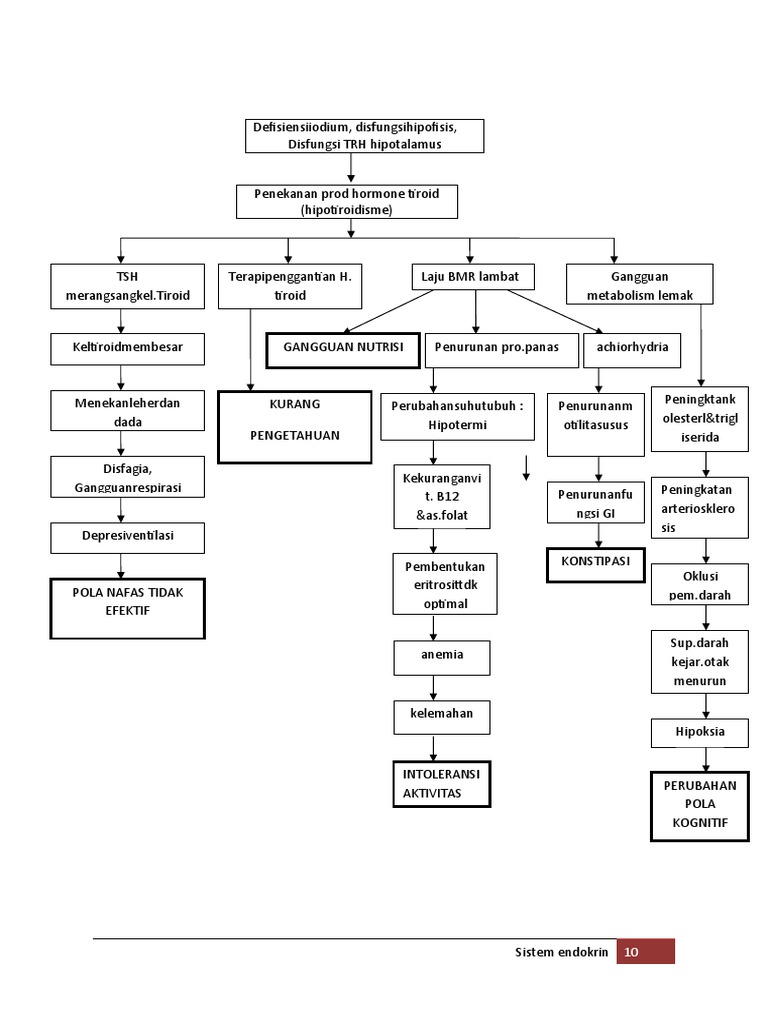 Pathway Hipertiroid | PDF