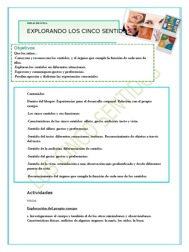 Explorando los sentidos: una unidad didáctica para conocer y estimular ...