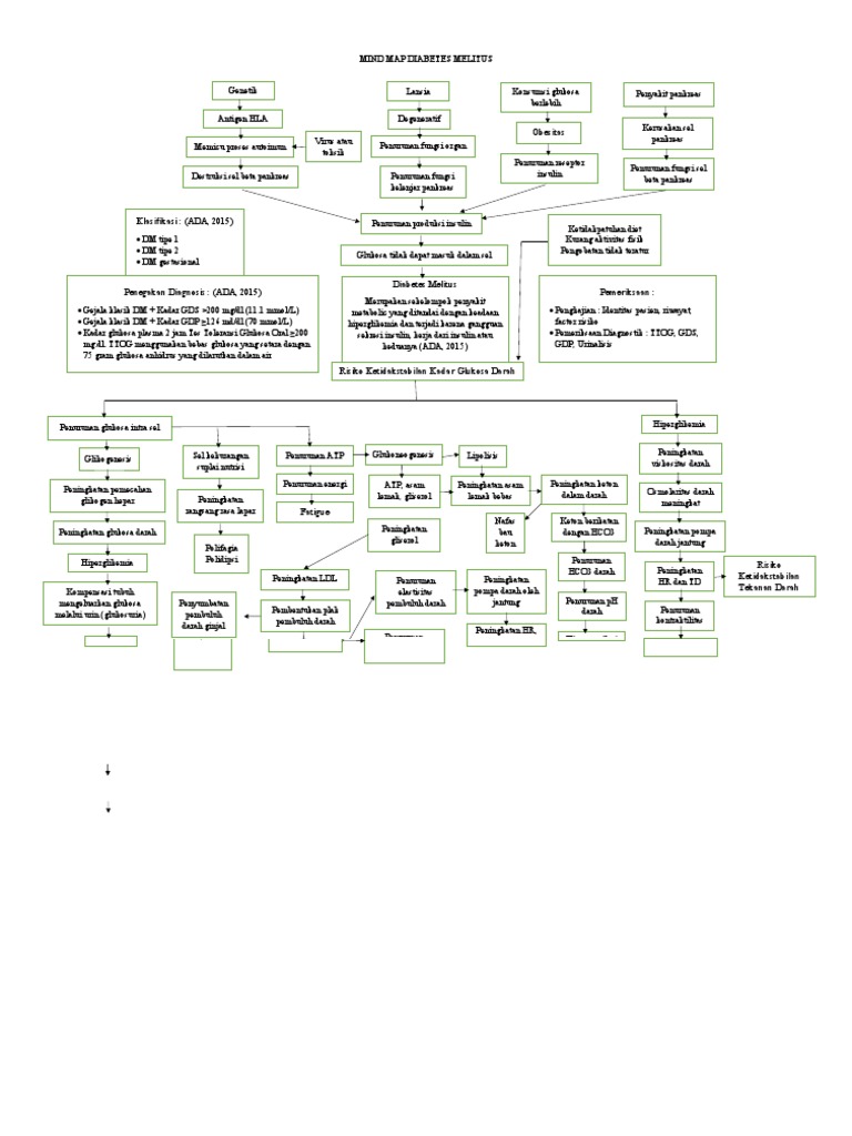 Mind Map Diabetes Melitus | PDF