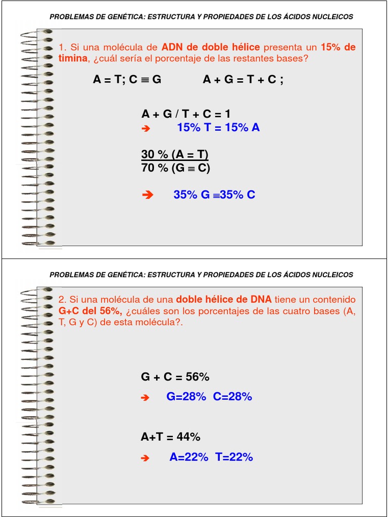 Ejercicios sobre la Ley de Chargaff | PDF | Ácidos nucleicos | Adn