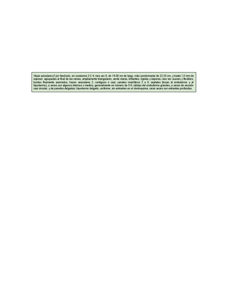 Características de hojas aciculares | PDF | Hogar, jardinería y bricolaje