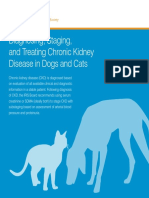 2 IRIS Staging of CKD 2023 | PDF | Blood Pressure | Creatinine