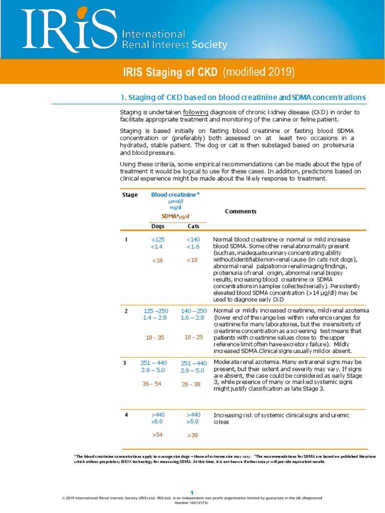 IRIS Staging of CKD Modified 2019 PDF | PDF | Blood Pressure | Creatinine