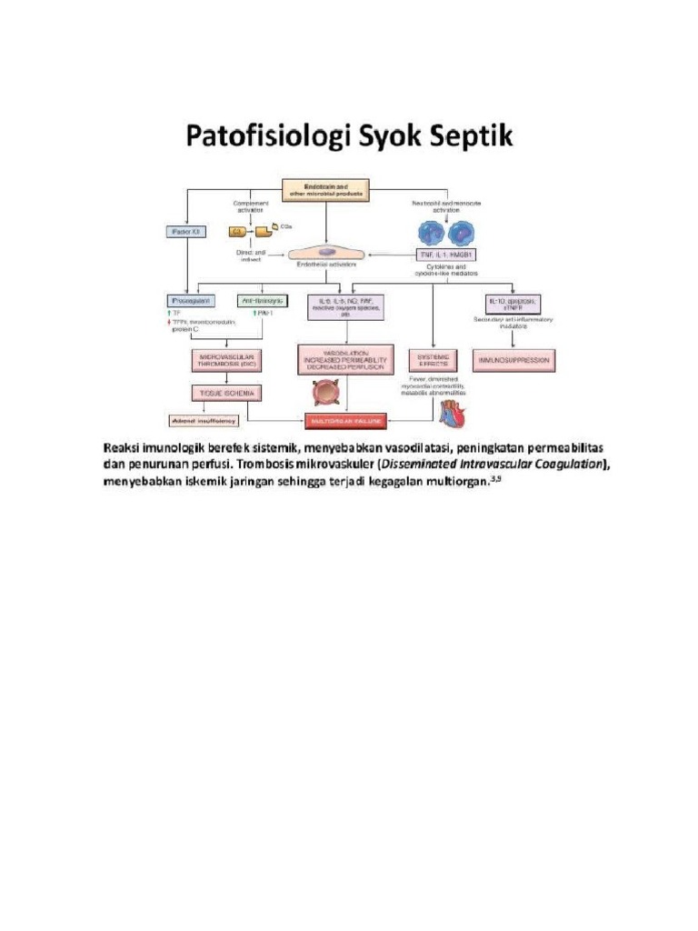 Patofisiologi Syok Septik | PDF