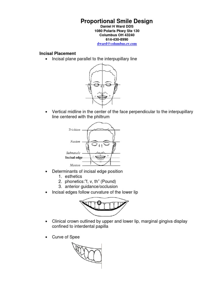 Red Proportion | PDF | Dentistry Branches | Health Sciences