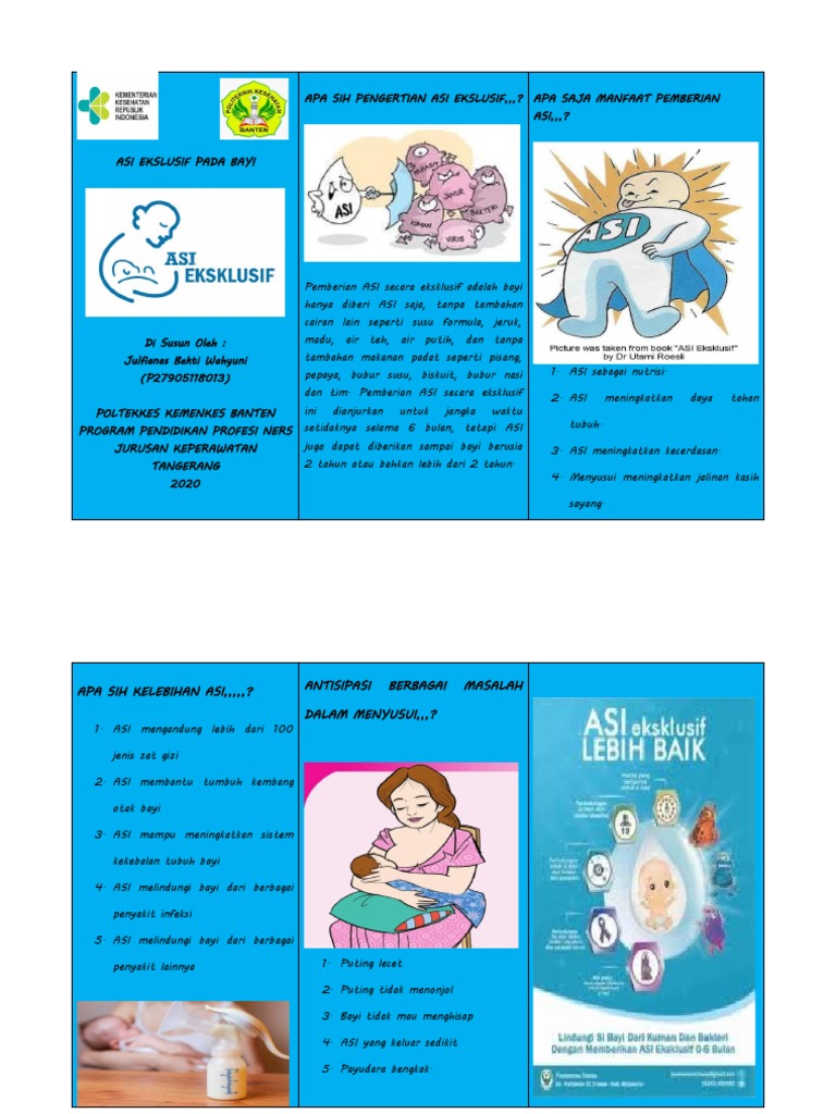 Leaflet Asi | PDF