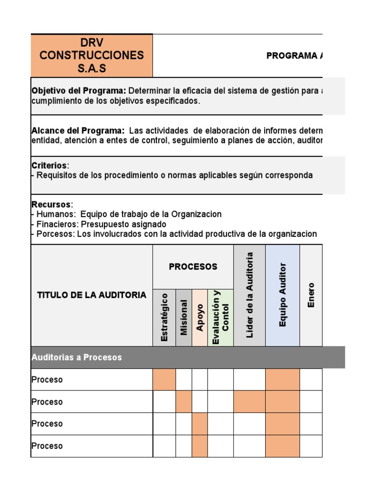 Programa de Auditoría Interna 2023 | PDF | Auditoría | Contralor