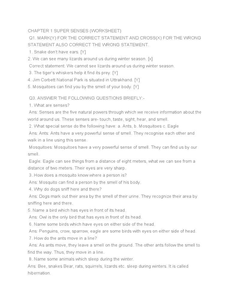Super Senses Worksheet | PDF | Senses | Eagle