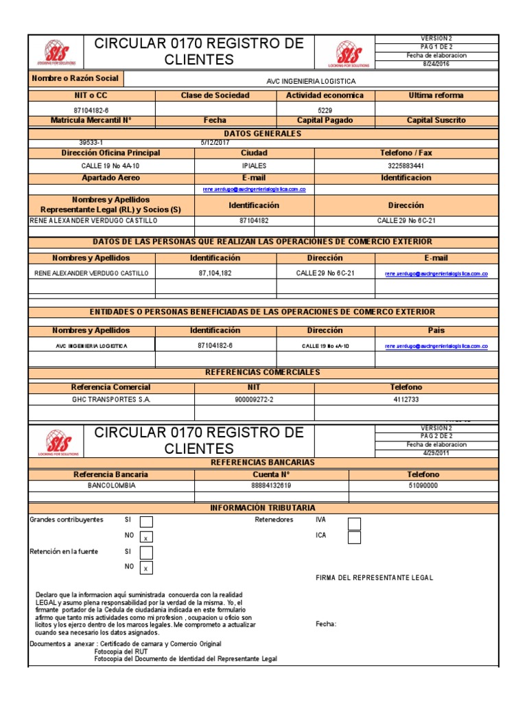 Circular 170 Sls Formato | Descargar gratis PDF | Economias | Business