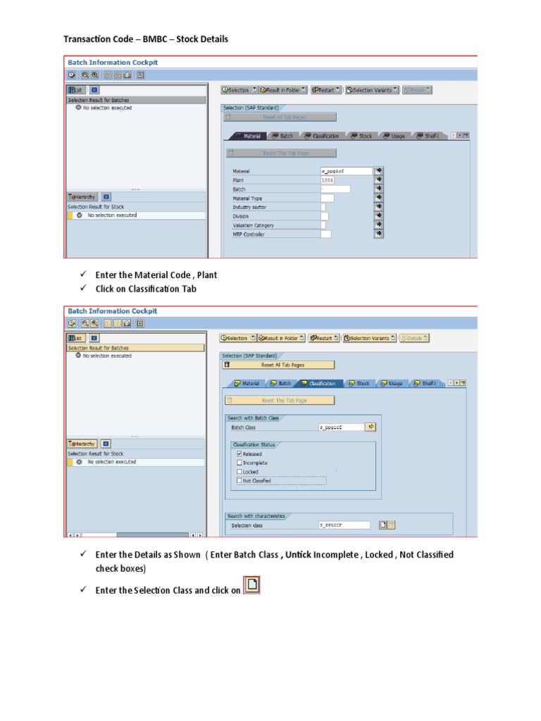Excellent T-Code - BMBC - Stock Details Report - User Manual | PDF