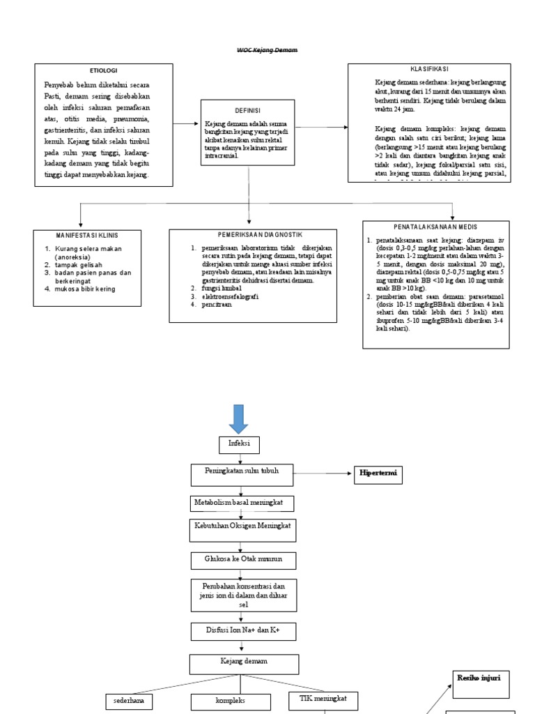 Woc Kejang Demam | PDF