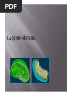 QUIMIOTROFOS | PDF | Sustancias químicas | Biología