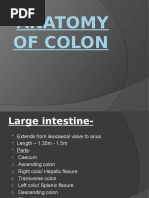 Sigmoid Colon Length and Anatomy | PDF | Large Intestine | Rectum