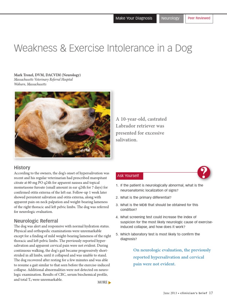 Weakness & Exercise Intolerance in A Dog | PDF | Neurology ...