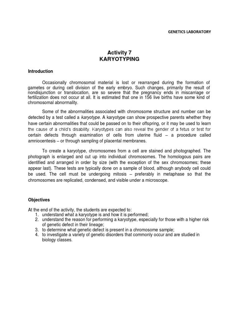 Activity 7 Karyotyping | PDF | Karyotype | Chromosome