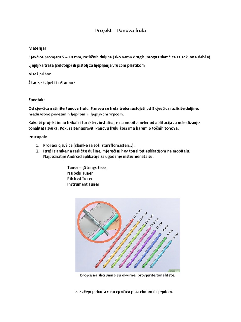 Projekt - Panova Frula PDF | PDF