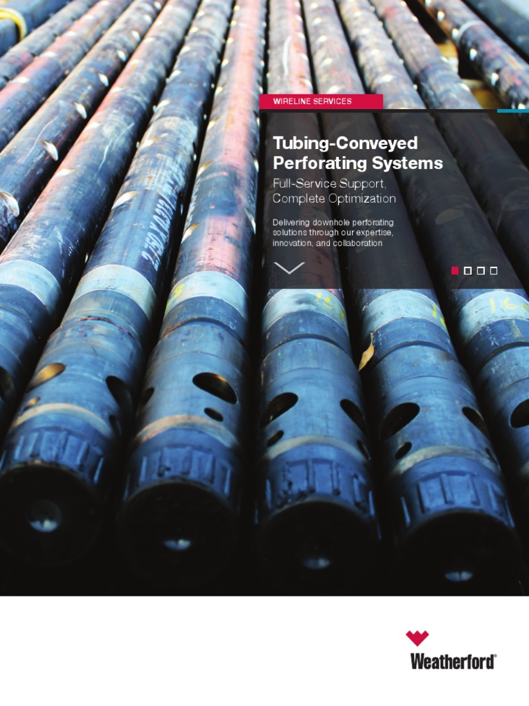 Tubing Conveyed Perforating Systems PDF | PDF | Valve | Nature