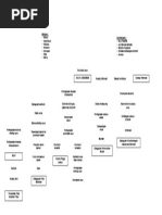 Pathway Kanker Kolon | PDF