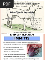 Ciclo Biológico de Dirofilaria Immitis | PDF