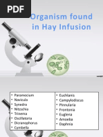 MC3 - Microbiology and Parasitology | PDF | Nursing | Evidence Based ...