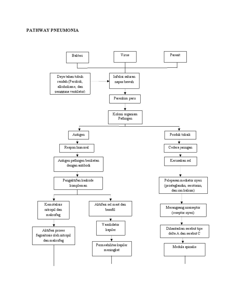 Pathway Pneumonia | PDF