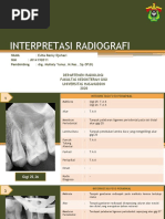 Interpretasi Hasil Foto Rontgen Anatomi Normal | PDF