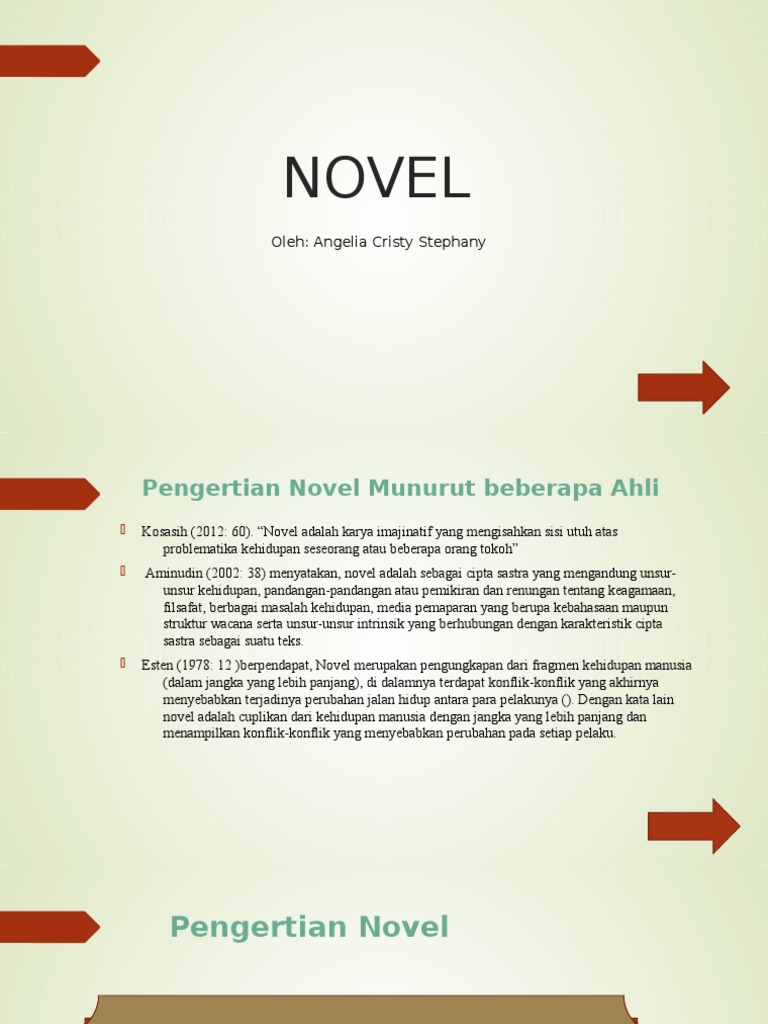 Novel Presentation | PDF