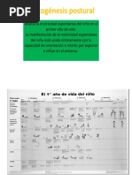 Reflejo de Marcha Automática en Bebés | PDF | Anatomía humana | Anatomía