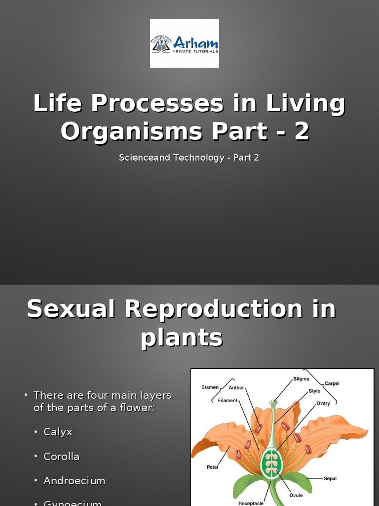 Life Processes in Living Organisms Part - 2 - 1 | PDF | Flowers ...