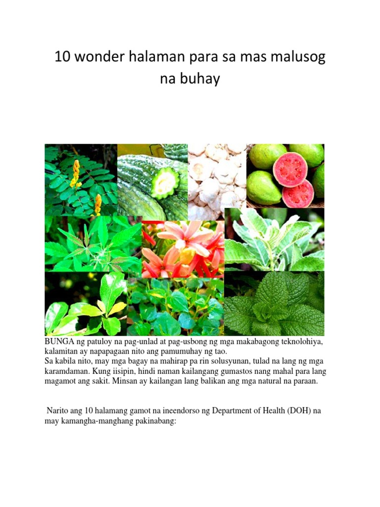 Halamang Gamot | PDF