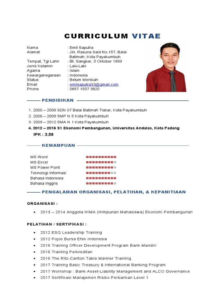 CV - Emil Saputra | PDF