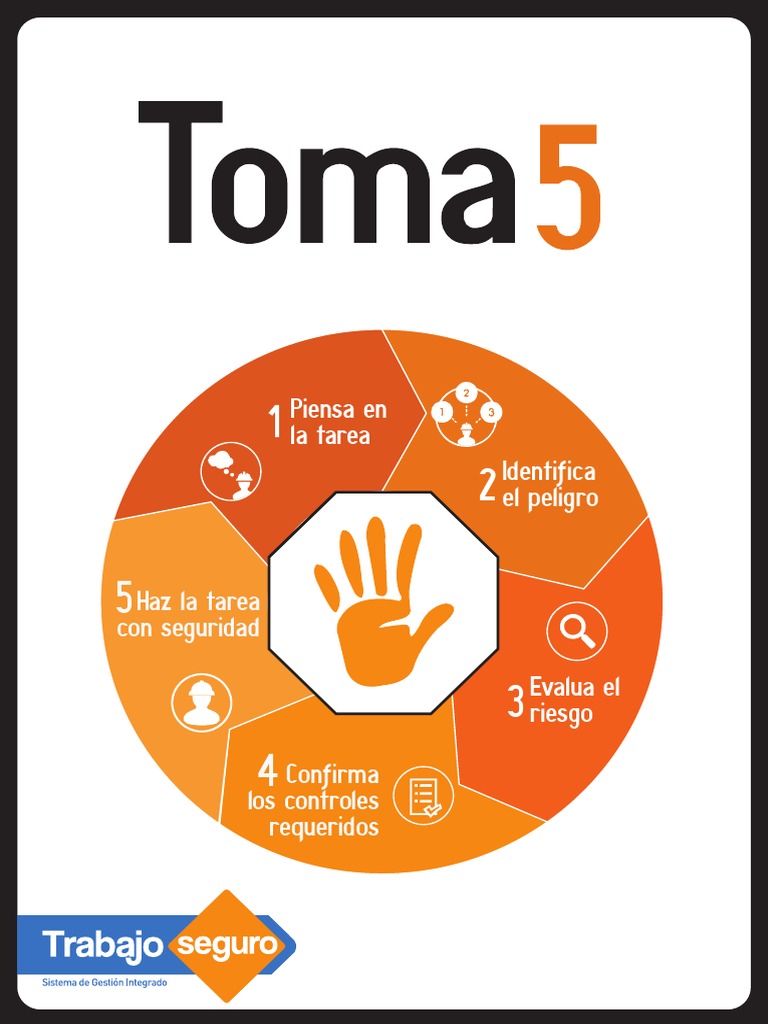 Formato Toma 5 TS-SS11F2E | PDF | Naturaleza