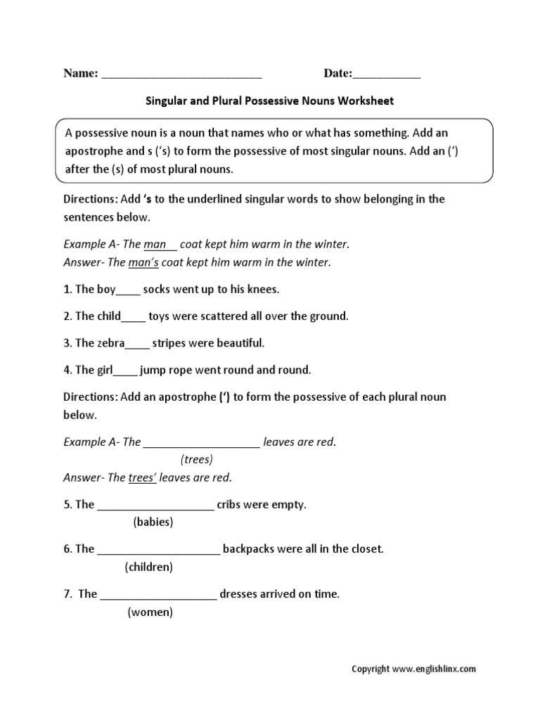 Singular Plural Possessive Nouns Worksheet PDF | PDF
