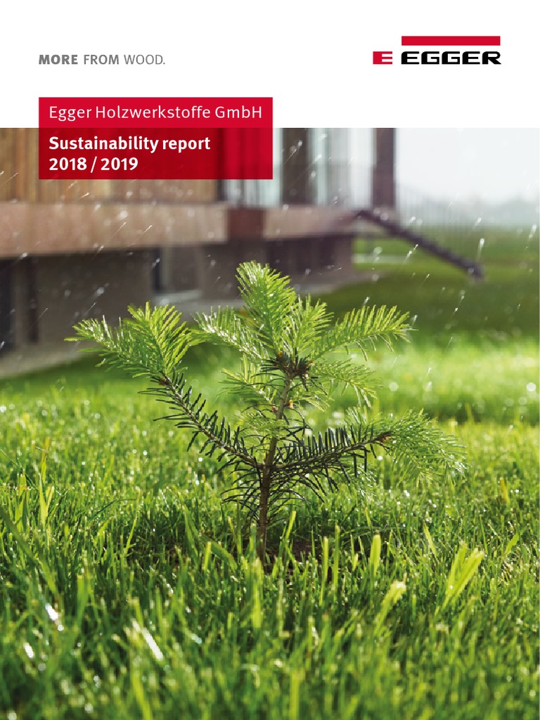 BR EGGER Sustainability Report EN | PDF | Sustainability | Regulatory ...