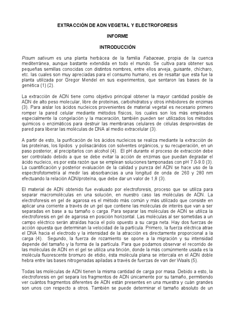 Informe Extracción de Adn Vegetal y Electroforesis | PDF | Electroforesis | Adn